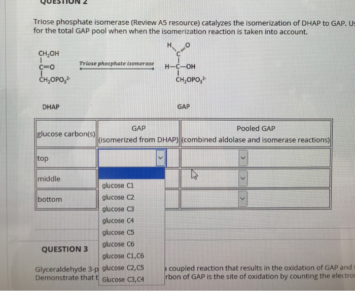 Solved Triose phosphate isomerase (Review A5 resource) | Chegg.com