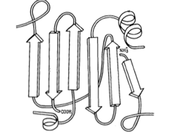 Solved Tertiary structure pepsina.) ﻿Draw the dipeptide | Chegg.com