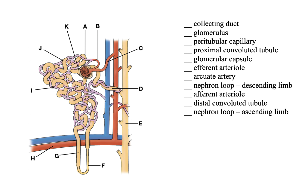 Solved I need help with those questions, please give the | Chegg.com