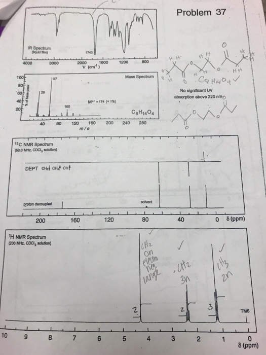 Solved 1600 1200 1) V (cam 174 CaH1404 120 m/e 13C NMR | Chegg.com