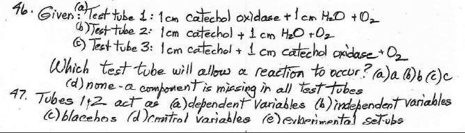 Solved 46. Given allest tube 1: 1cm catechol oxidase + 1 cm | Chegg.com
