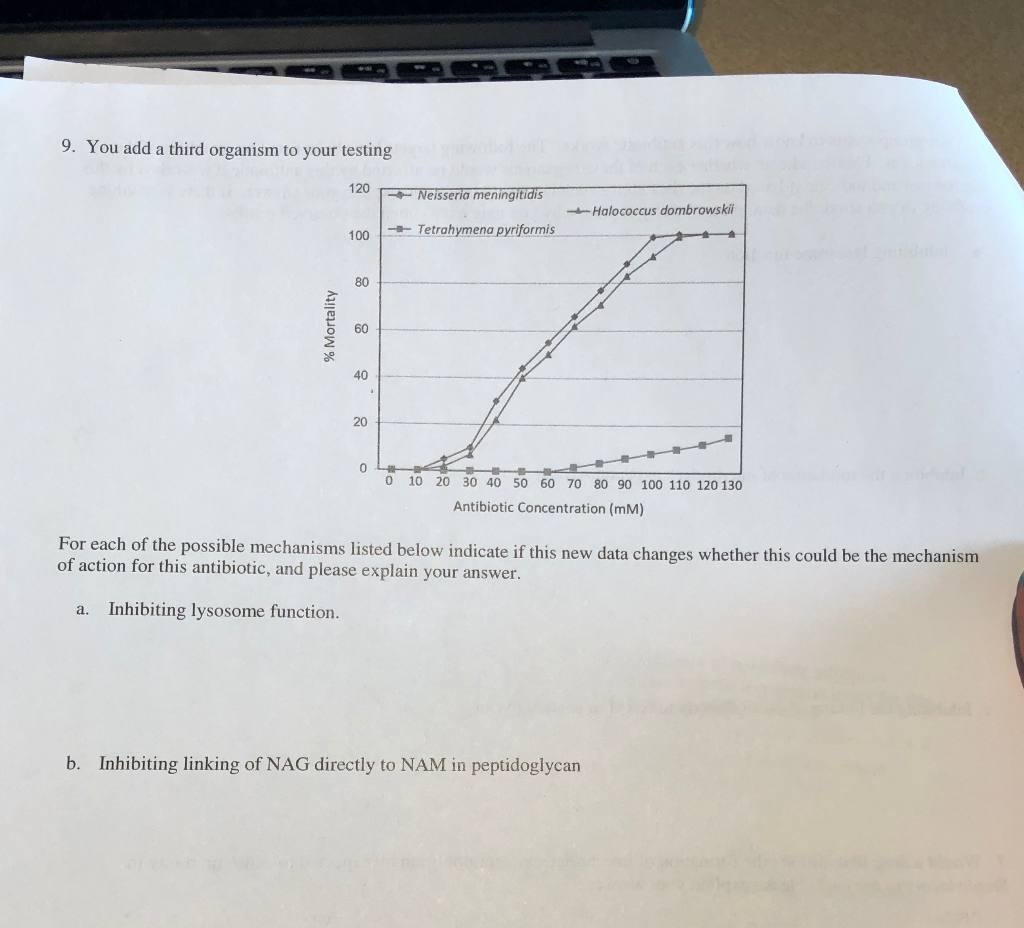 Halococcus Dombrowskii