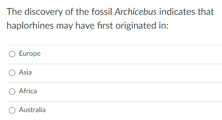Solved The discovery of the fossil Archicebus indicates that | Chegg.com