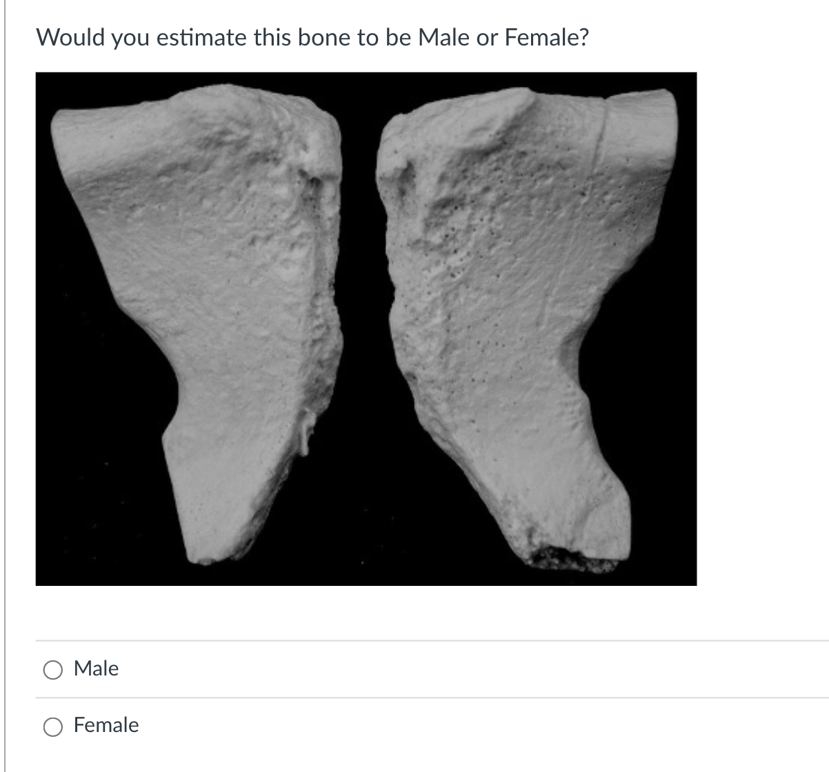 Would you estimate this bone to be Male or Female? | Chegg.com