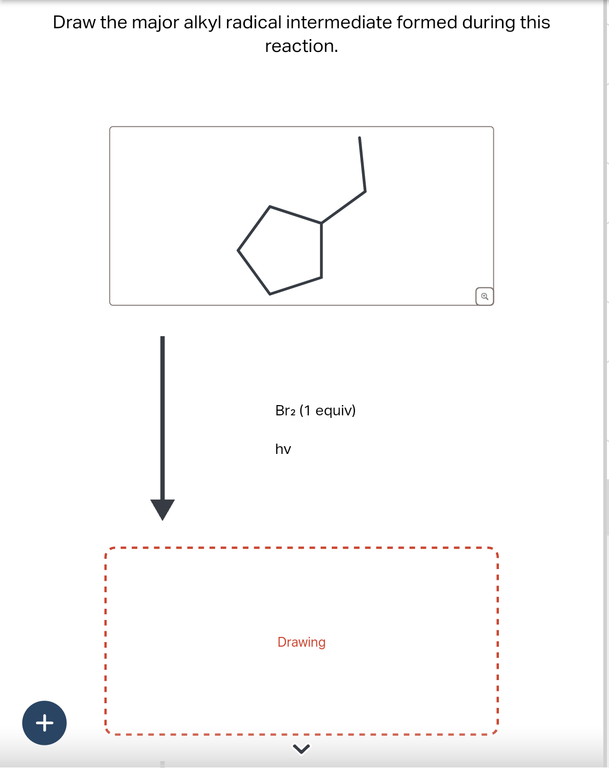 Solved Draw the major alkyl radical intermediate formed | Chegg.com