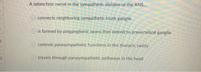 Solved A splanchnic nerve in the sympathetic division of the | Chegg.com