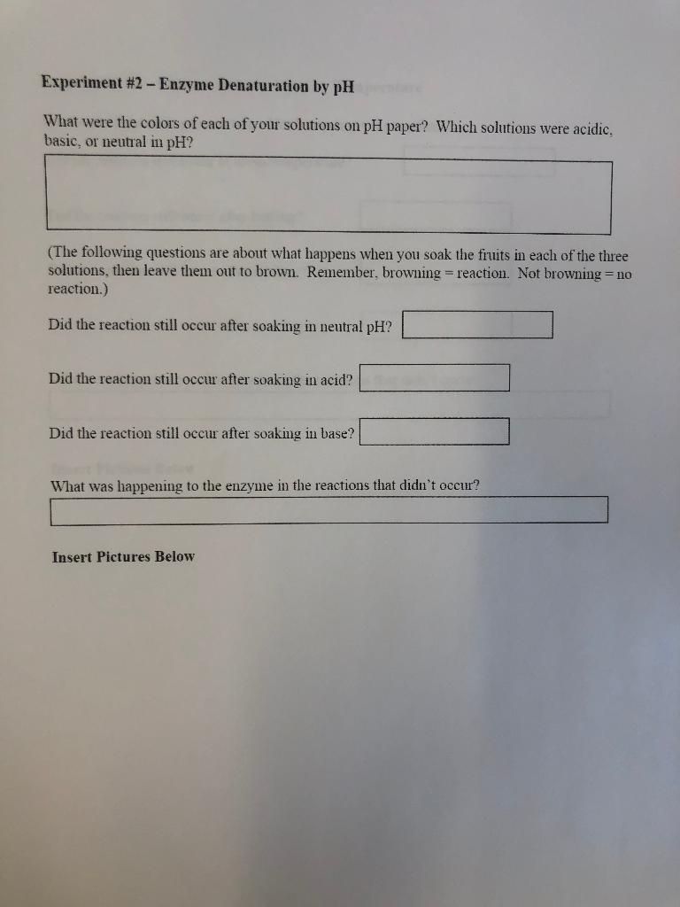Solved Experiment \#2 - Enzyme Denaturation by pH What were | Chegg.com