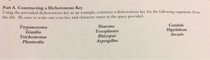 Solved Part A. Constructing a Dichotomous Key Using the | Chegg.com