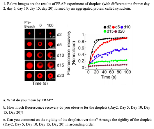 1. Below images are the results of FRAP experiment of | Chegg.com