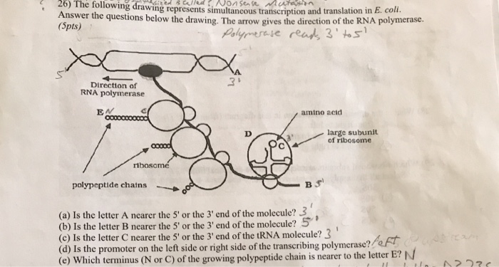 Solved 226) The following drawing represent s simultaneous | Chegg.com