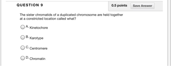 Solved QUESTION 1 0.5 points Save Answer During prophase 1 | Chegg.com