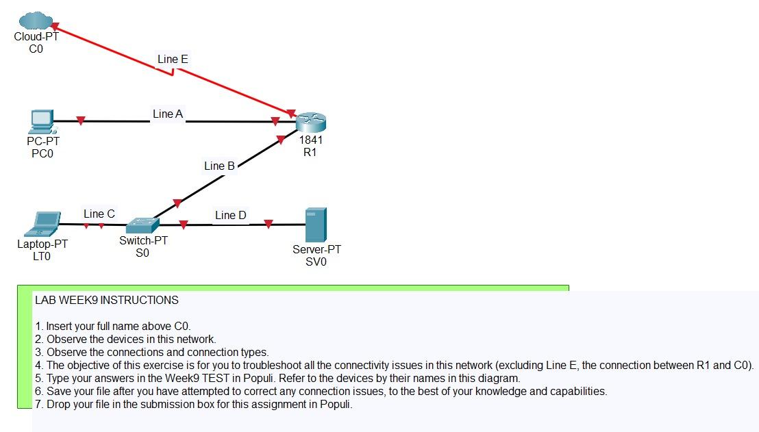 1. Insert your full name above C0. 2. Observe the | Chegg.com