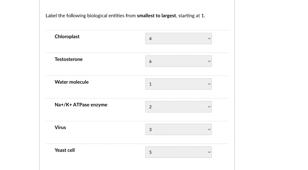 Solved Label the following biological entities from smallest | Chegg.com