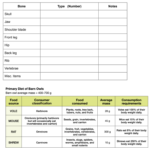 Primary Diet of Barn Owls Barn owl average mass | Chegg.com