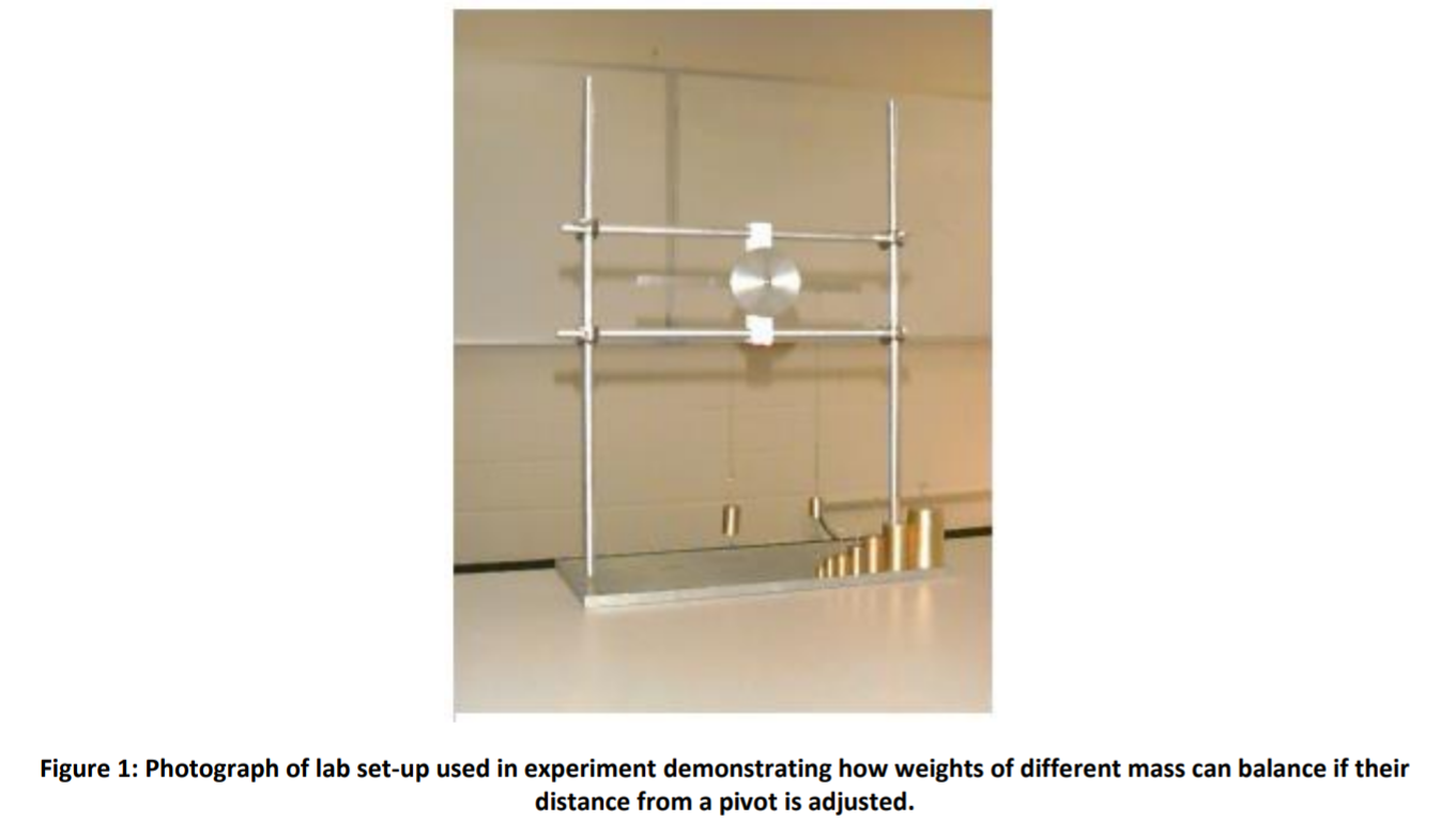 Case 1 Case 2 10 CM 3.25 CM 10 CM 5.1 CM 100g 300g | Chegg.com