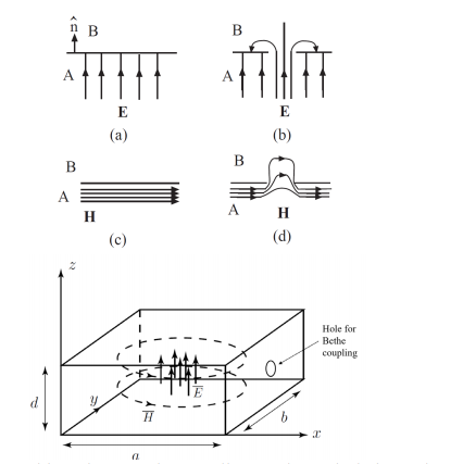 Assume we have a TM110 mode in a rectangular cavity | Chegg.com