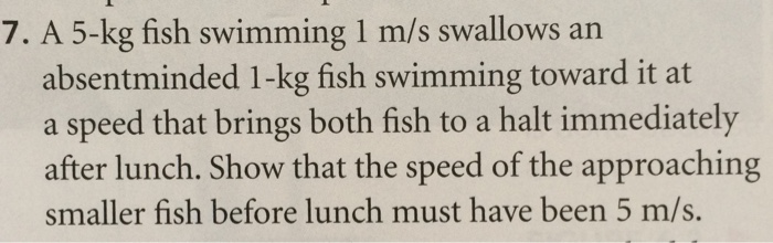 Solved A 5-kg fish swimming 1 m/s swallows an absentminded | Chegg.com