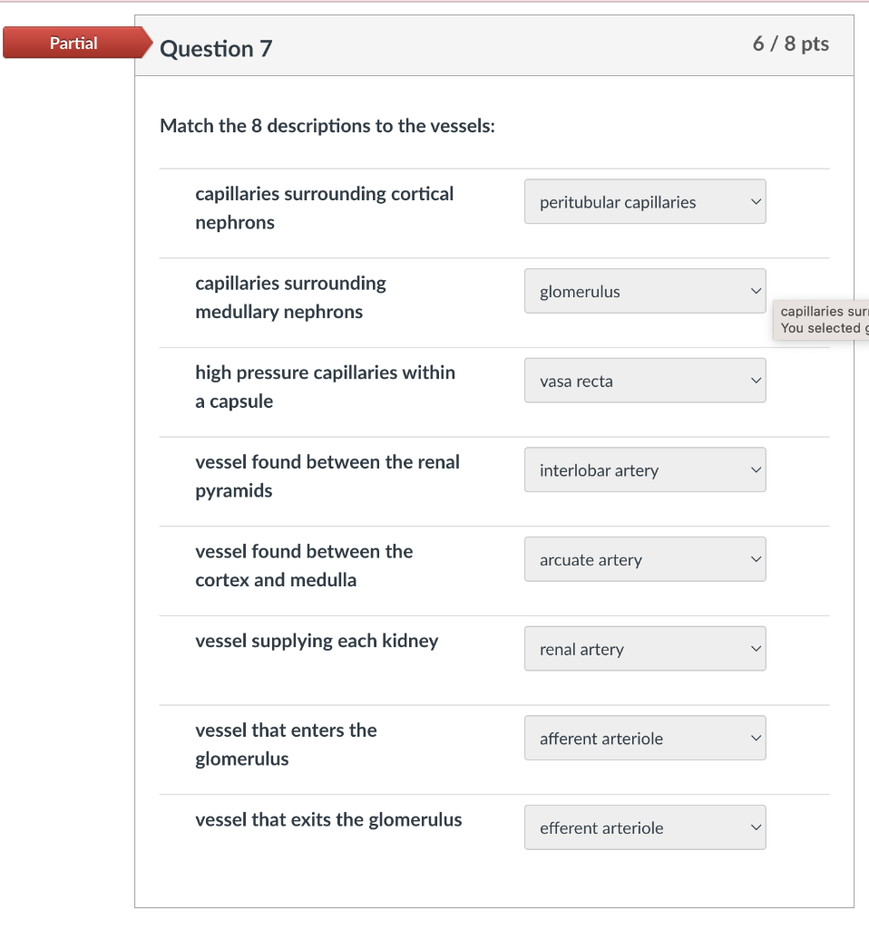 Solved Match the 8 descriptions to the vessels: capillaries | Chegg.com