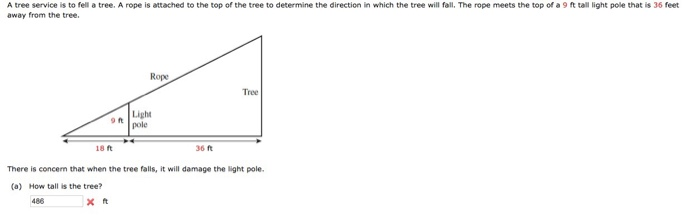 Solved A tree service is to fell a tree. A rope is attached | Chegg.com