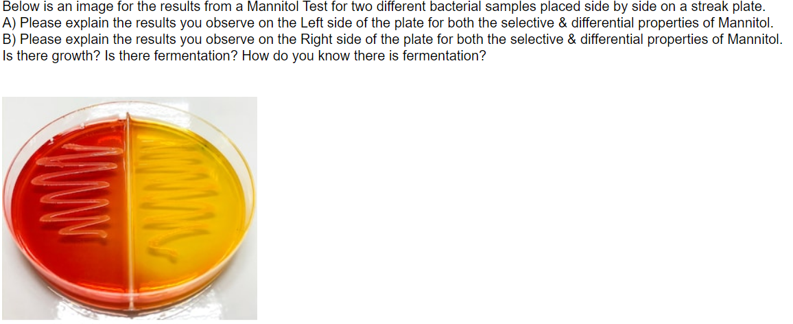 Solved Below is an image for the results from a Mannitol | Chegg.com