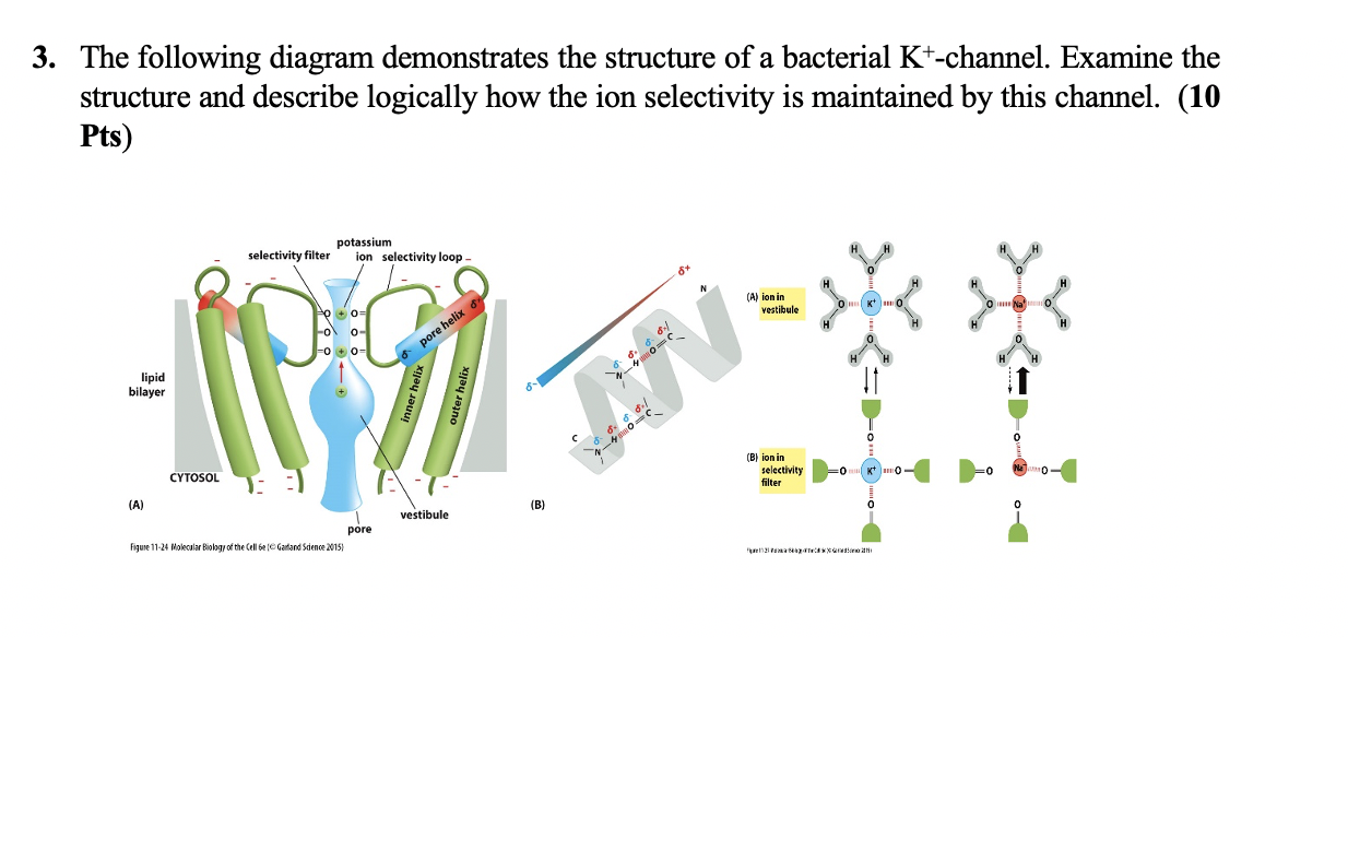Solved 0 3. The following diagram demonstrates the structure | Chegg.com