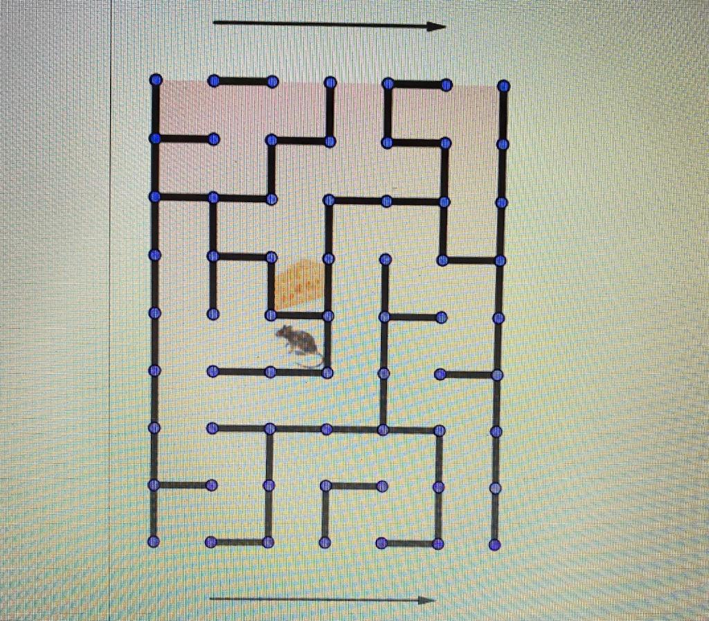 Solved Help the mouse find its way to the cheese in the | Chegg.com