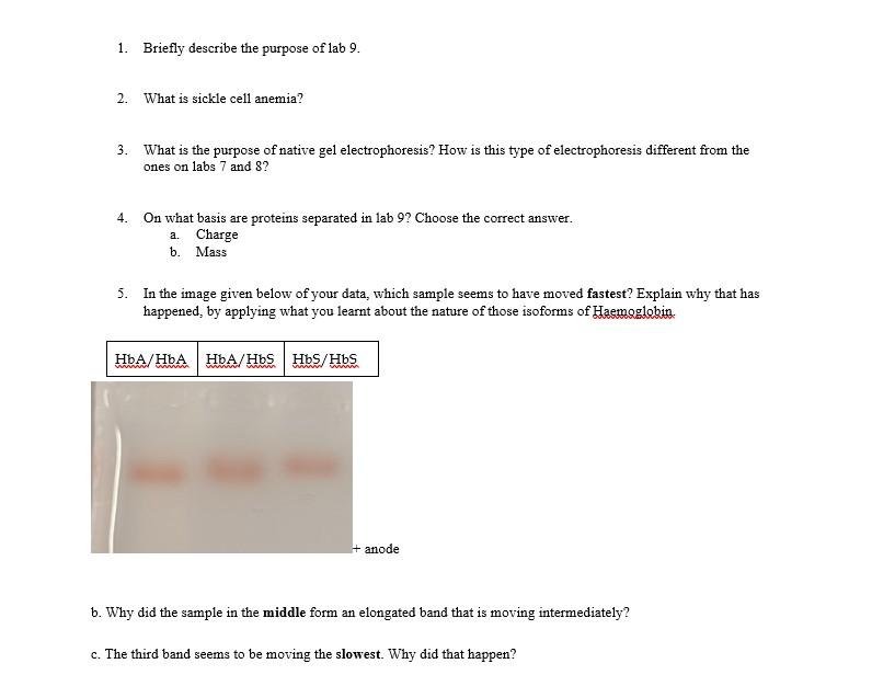 Solved 1. Briefly describe the purpose of lab 9. 2. What is | Chegg.com