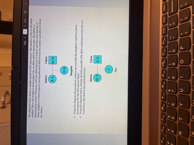 Solved The diagram below shows a simple model of STR | Chegg.com