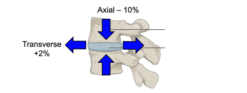 Solved Transverse and axial strain. An intervertebral disc | Chegg.com