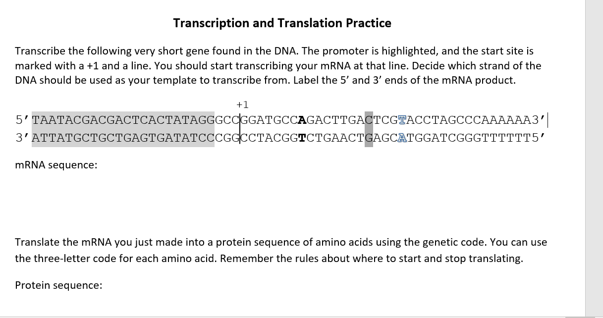 Solved Transcription and Translation Practice Transcribe the | Chegg.com