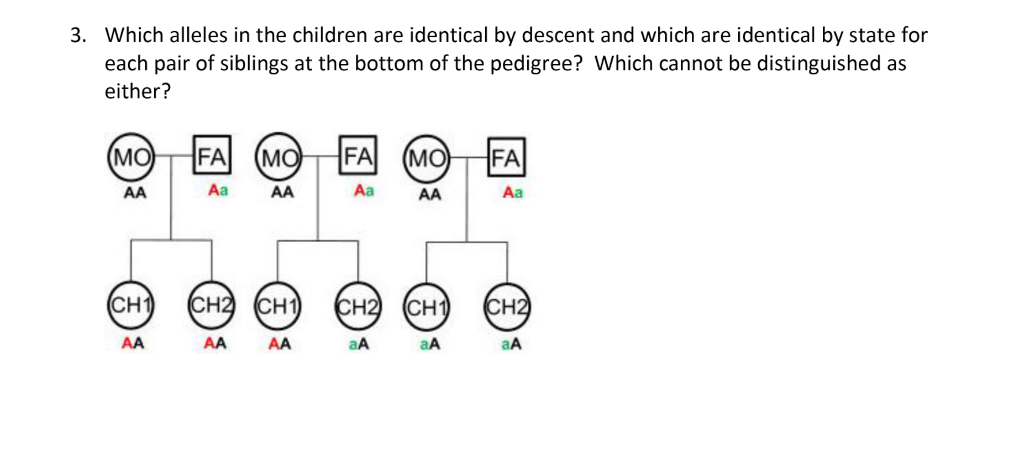 Solved .Which alleles in the children are identical by | Chegg.com