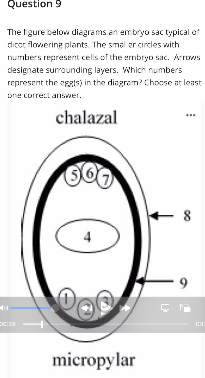 Solved The figure below diagrams an embryo sac typical of | Chegg.com