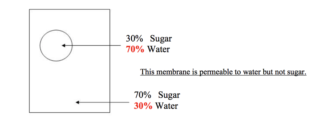 Solved Below is a diagram of a cell submerged in a solution. | Chegg.com