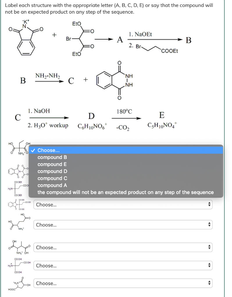 Solved Label each structure with the appropriate letter (A, | Chegg.com