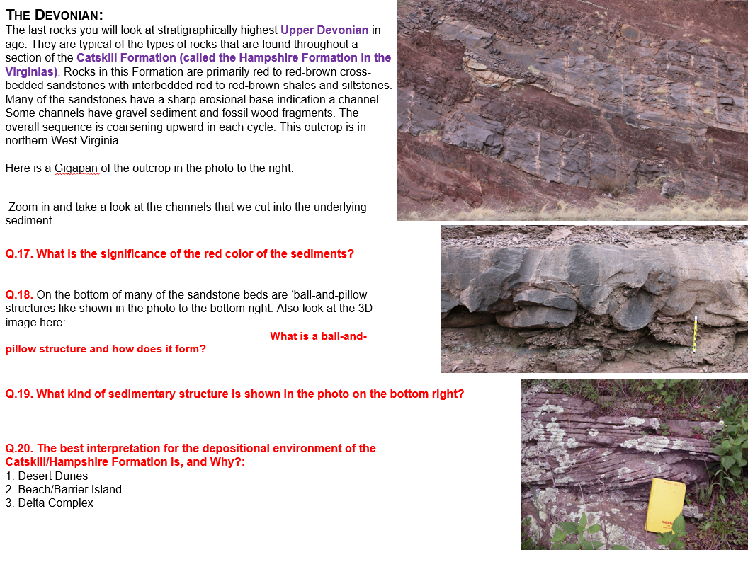 Solved THE DEVONIAN: The next rocks you will look at are | Chegg.com