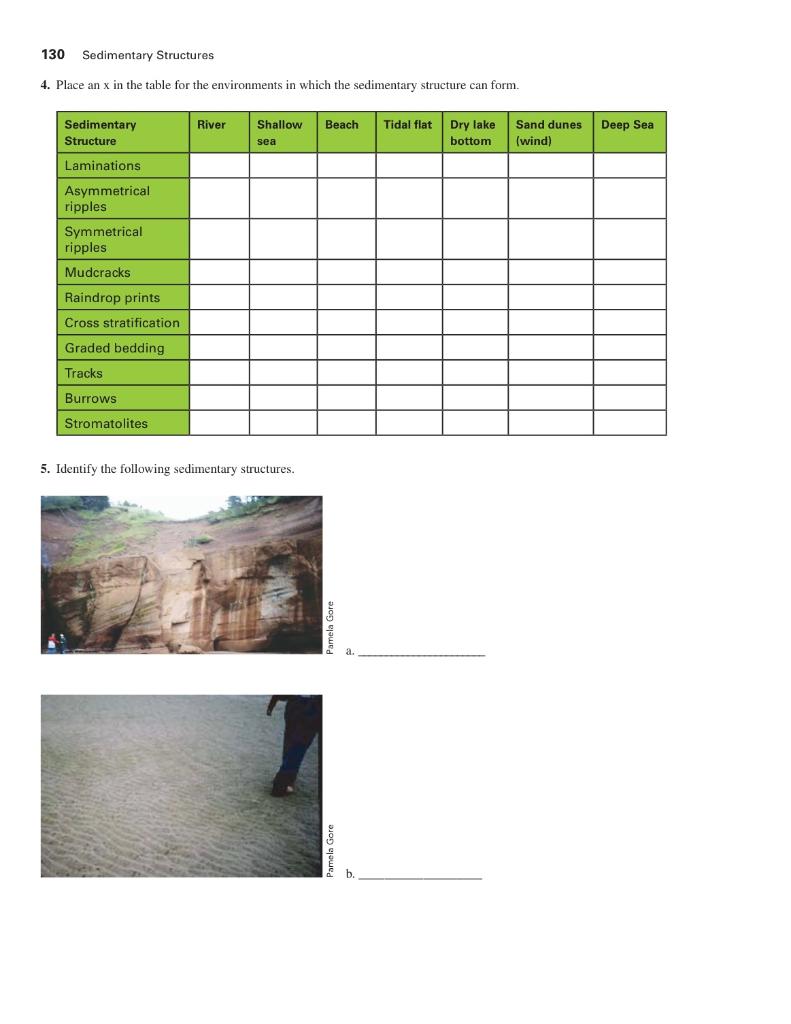 Solved Using the sedimentary structures provided in the lab, | Chegg.com