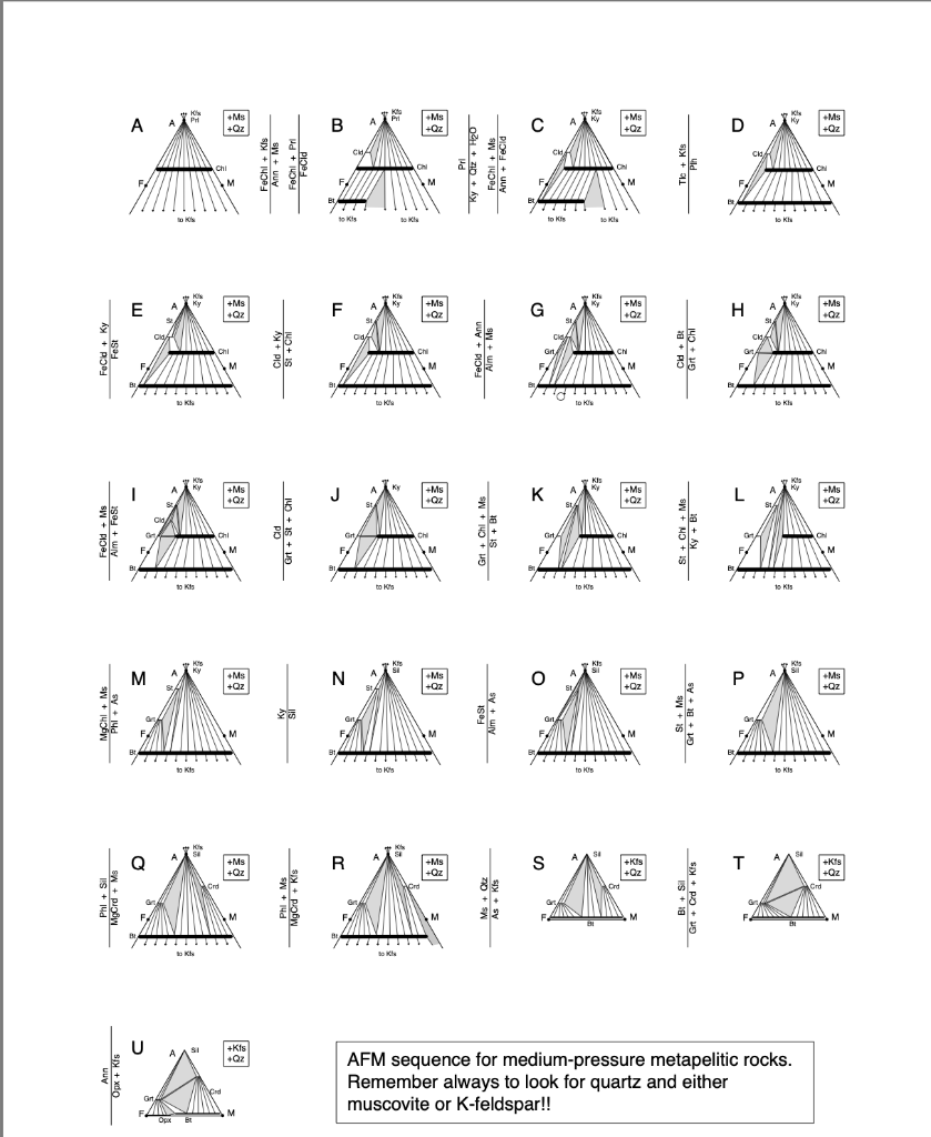 [3] You are given (i) a sequence of AFM projections | Chegg.com