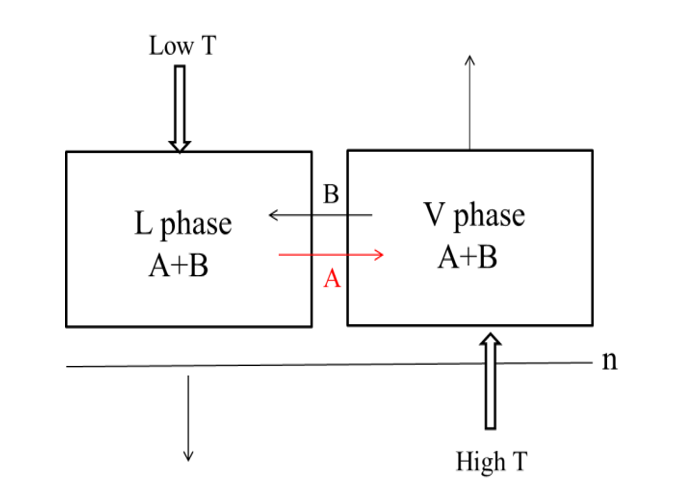 Solved *Mass Transfer Compare L phase and V phase to | Chegg.com