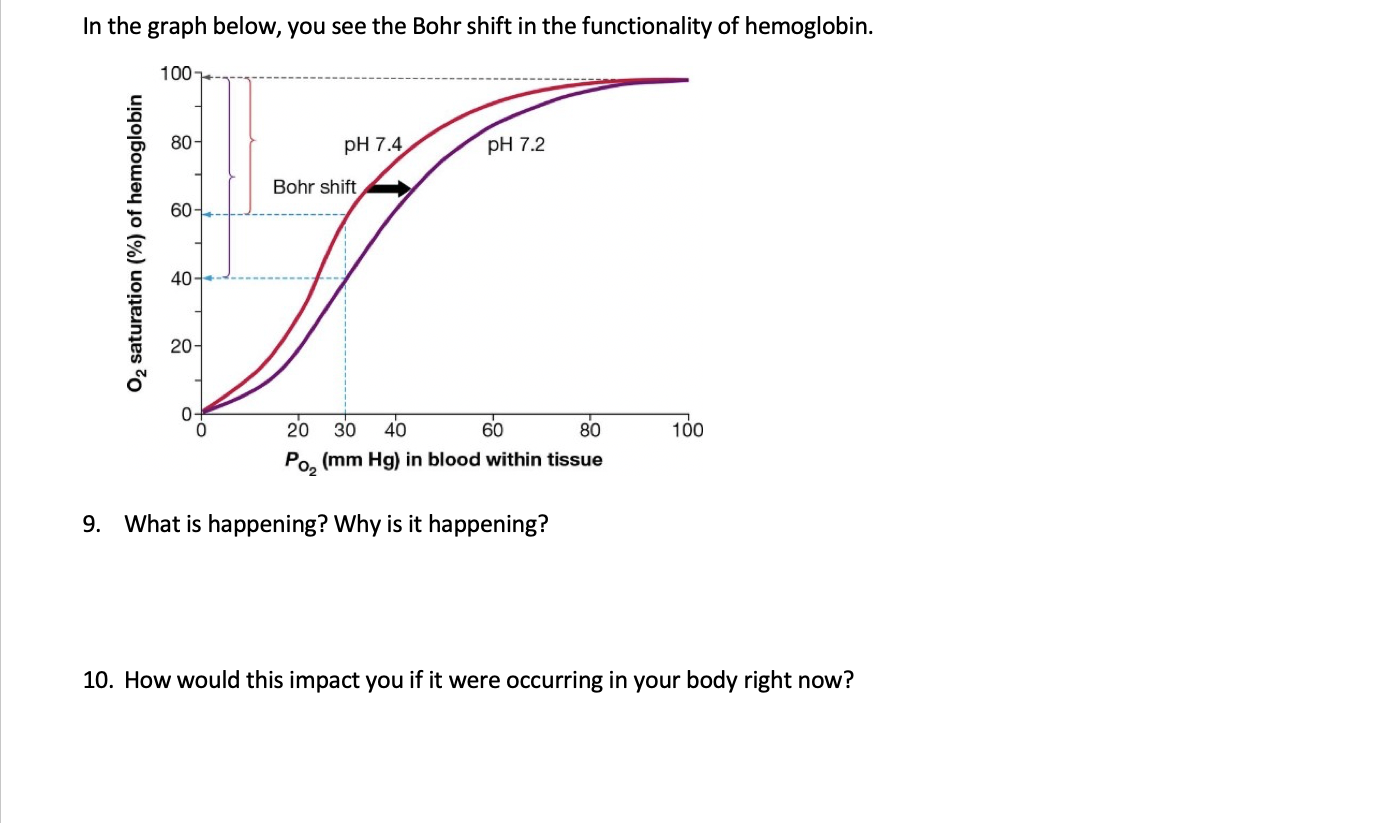 Solved In the graph below, you see the Bohr shift in the | Chegg.com