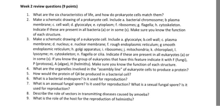 Solved What are the six characteristics of life, and how do | Chegg.com