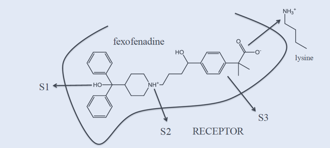 Solved The structure of fexofenadine, commonly known as | Chegg.com