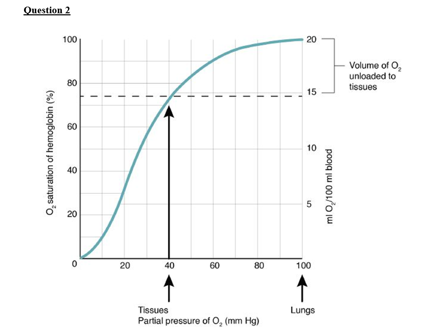 Solved The patient was diagnosed has having a severe, acute | Chegg.com