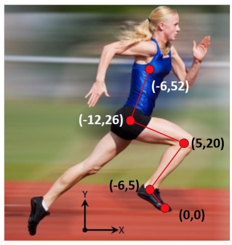 Solved In the image to the right, calculate the runner’s (a) | Chegg.com