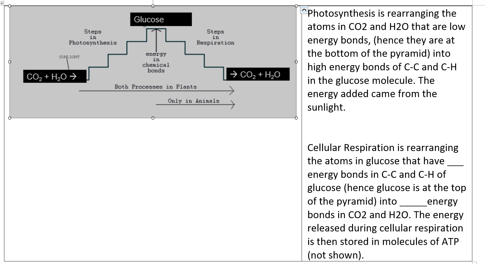 Solved Photosynthesis is rearranging the atoms in CO2 and | Chegg.com