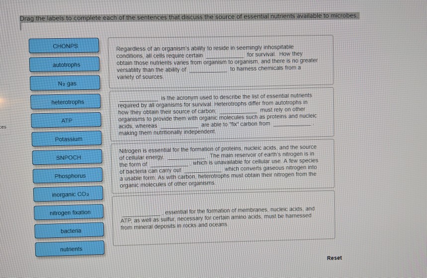 Solved Drag the labels to complete each of the sentences | Chegg.com