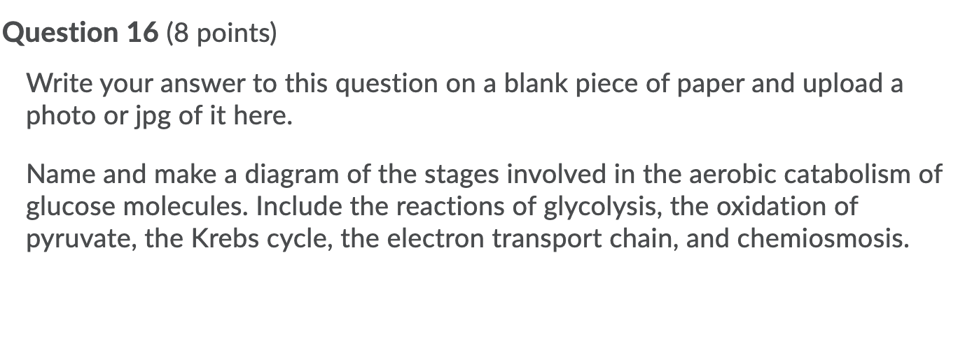 Solved Question 16 (8 points) Write your answer to this | Chegg.com