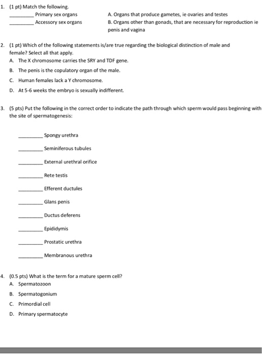 Solved 1 1 Pt Match The Following Primary Sex Organs