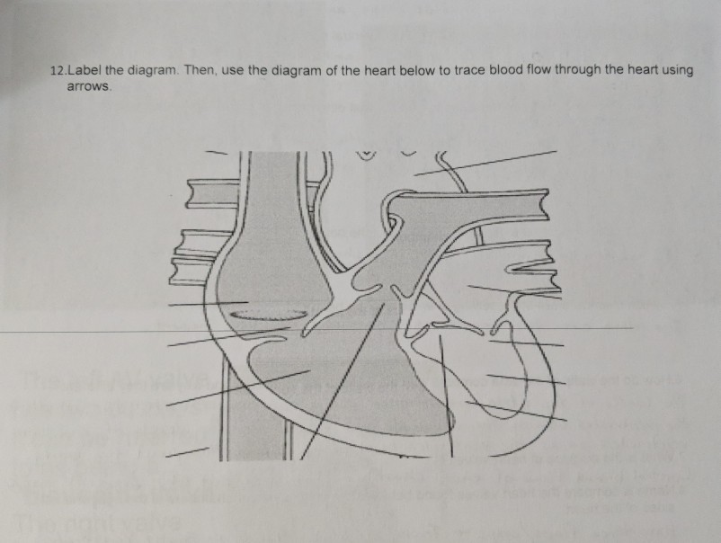 Solved 12.Label the diagram. Then, use the diagram of the | Chegg.com