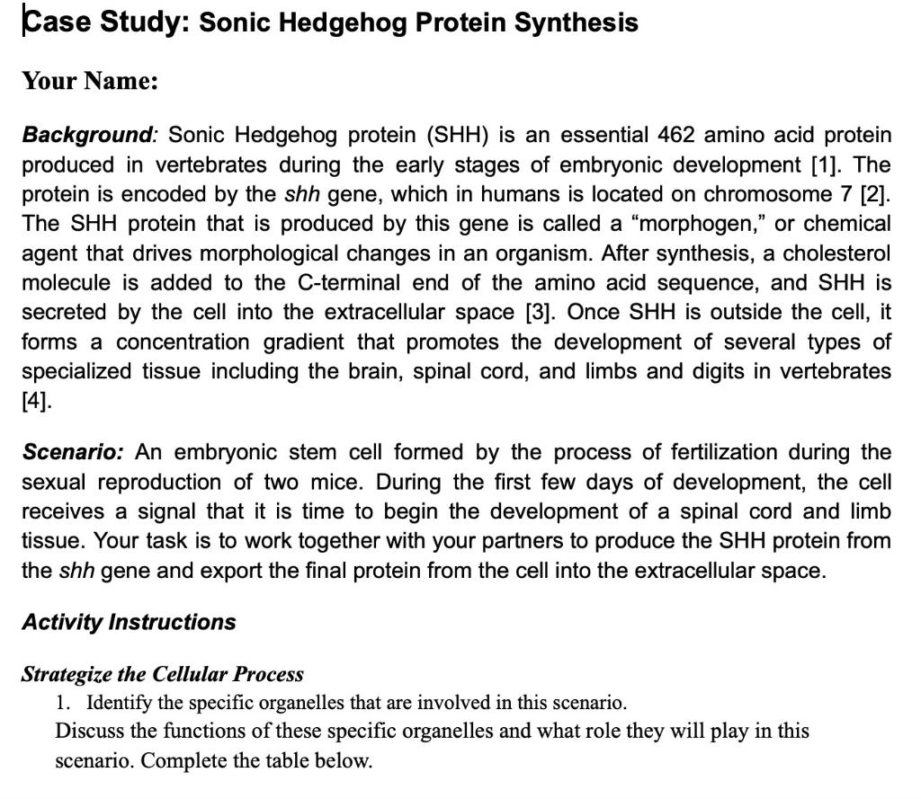 Solved Case Stuay: Sonic Hedgehog Protein Synthesis Your | Chegg.com