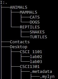 Solved CSCI 4200 Lab 1 Windows Command Prompt 8 | Chegg.com